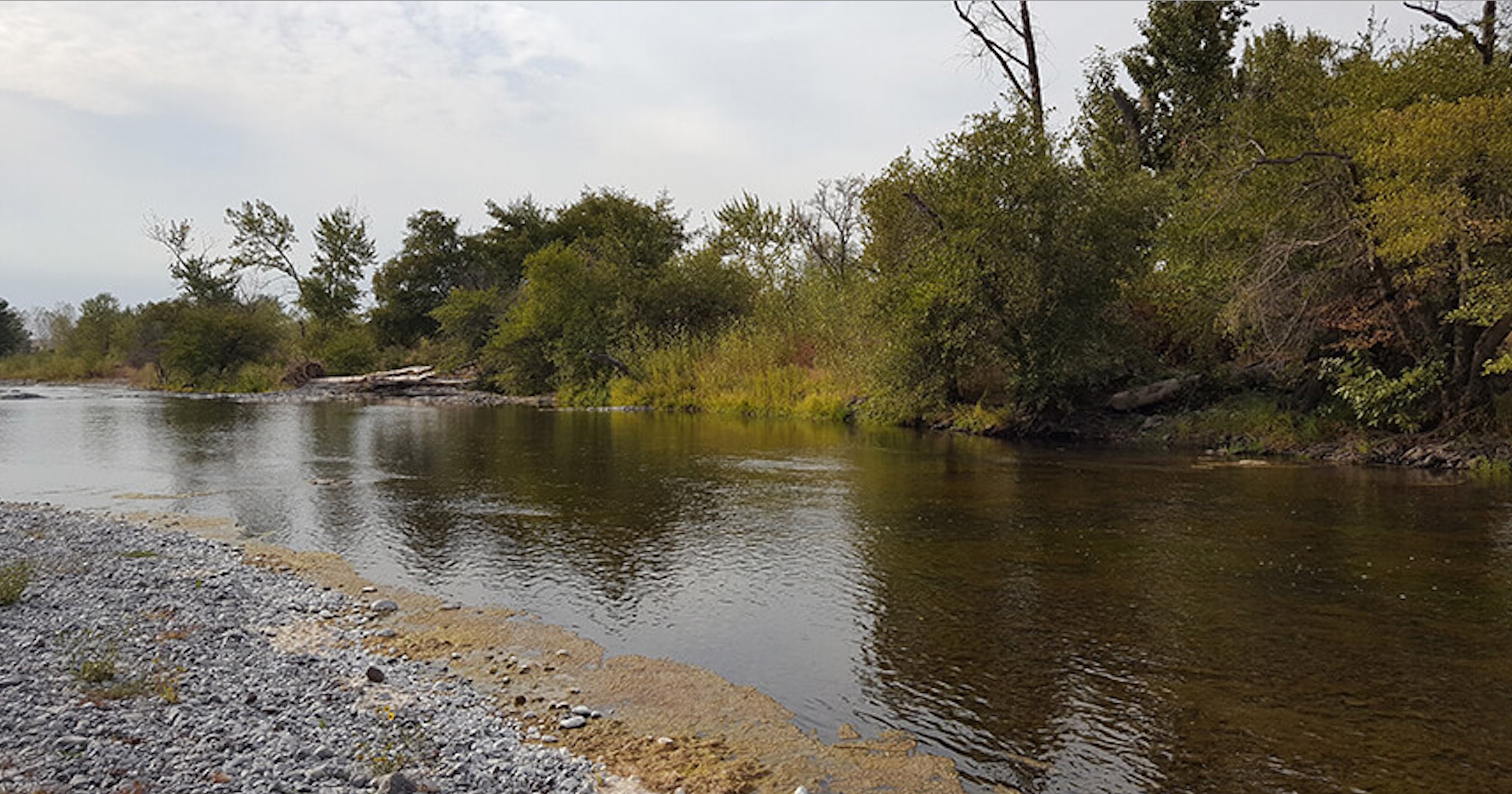 Innovative solution supports freshwater mussel restoration for tribal ...