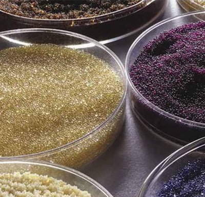 Evoqua Ion Exchange RESIN C-211 (Na) CATION