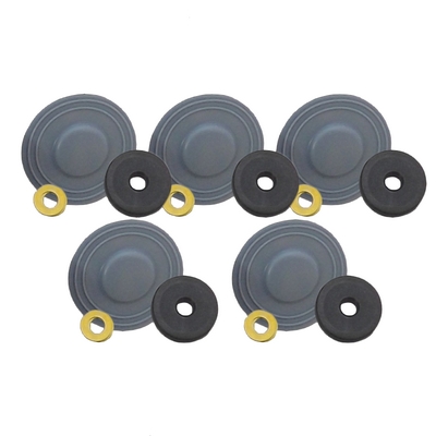 Pulsafeeder Pump Diaphragm 5PKDIA3