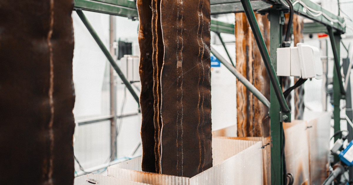 How the city of Pasco is turning industrial wastewater into a community ...